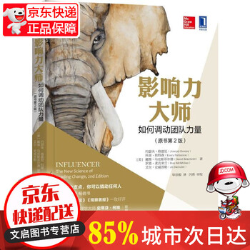 影响力大师(如何调动团队力量原书第2版)