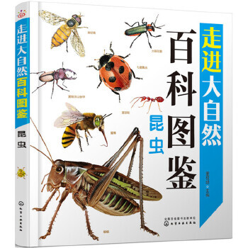 昆虫【新华书店，售后无忧】