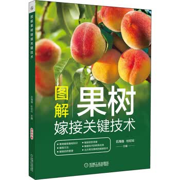 图解果树嫁接关键技术 图书