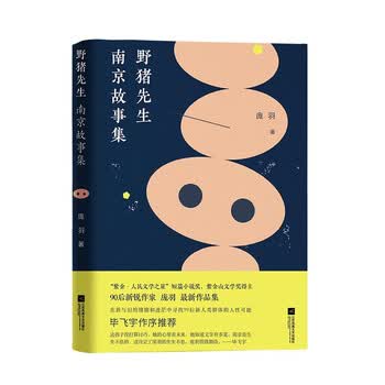 野猪先生：南京故事集 疼痛成长小说 庞羽著