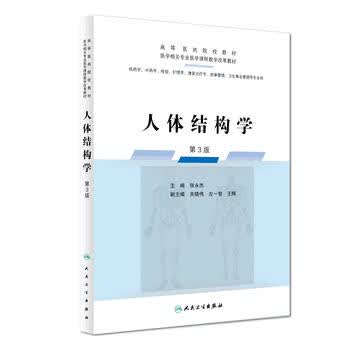 人体结构学