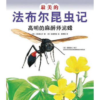 美的法布尔昆虫记:高明的麻醉师泥蜂