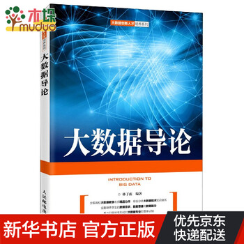 大数据导论/大数据创新人才培养系列