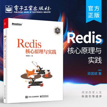 Redis核心原理与实践