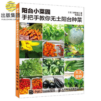 阳台小菜园(手把手教你无土阳台种菜)