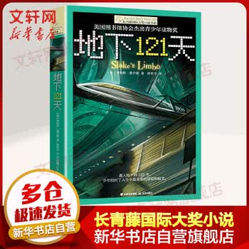 地下121天 美国图书馆协会杰出青少年读物奖 长青藤国际大奖小说书系