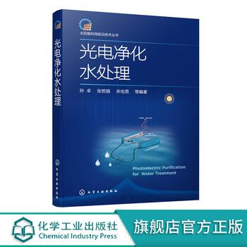 太阳能利用前沿技术丛书--光电净化水处理