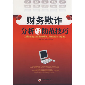 财务欺诈分析与防范技巧【正版图书】
