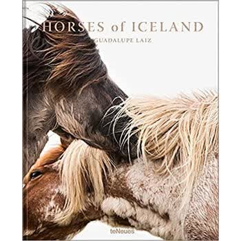 Horses of Iceland