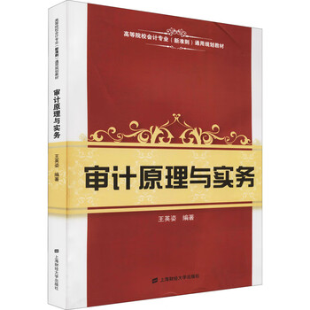 审计原理与实务 图书