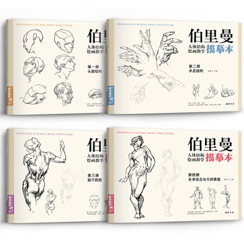 伯里曼人体结构教学描摹本【4册全套】 正版速写人物结构绘画练习教程教材 杨建飞主编