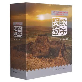 数字长城 赵琛