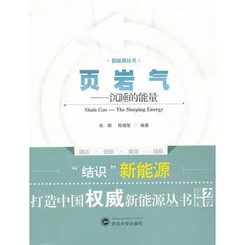 页岩气:沉睡的能量