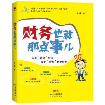 财务也就那点事儿 王峰
