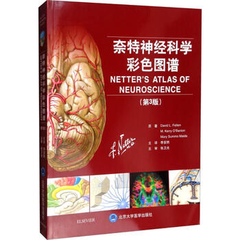 奈特神经科学彩色图谱
