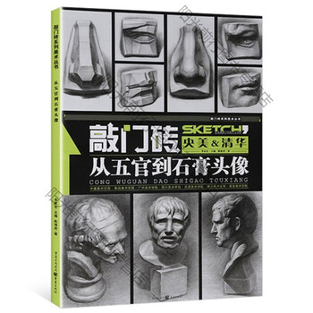 s王建才从五官到石膏头像素描书敲门砖系列美术丛书素描五官素描石膏头像王建才央美清华素描书入门基础教程