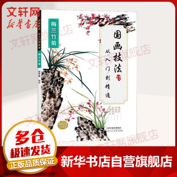 国画技法 从入门到精通 梅兰竹菊