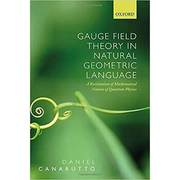 Gauge Field Theory in Natural Geometric Language