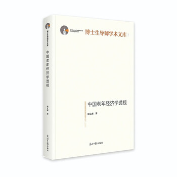 中国老年经济学透视