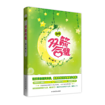 网游之双剑合璧【正版图书，放心下单】