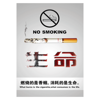 禁烟公益广告文化宣传画挂图标语海报禁止吸烟您已进入无烟场所控烟招贴画覆膜防水贴纸TYH TYH30 禁烟宣传画 70*50厘米 覆膜防水PP贴纸