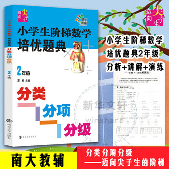 小学生阶梯数学培优题典分类分项分级.2年级