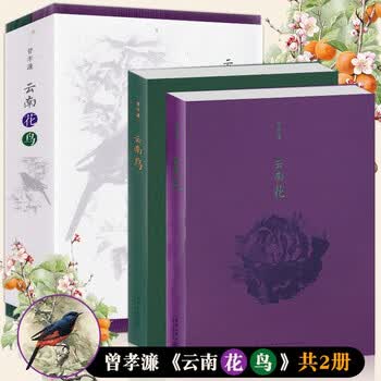 云南花鸟全两卷 云南花+云南鸟 曾孝濂作品 朗读者 动植物科普画册画集花卉鸟类图鉴书籍 预售