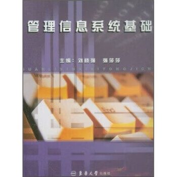 管理信息系统基础