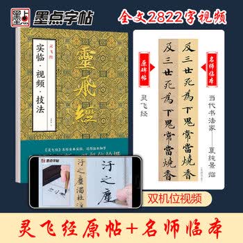 灵飞经实临视频技法
