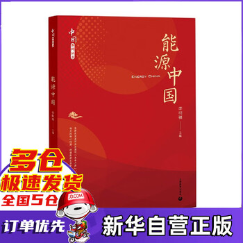 能源中国/中国系列丛书