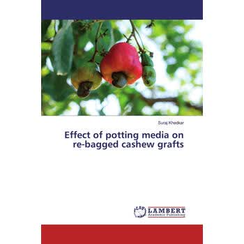 Effect of potting media on re-bagged cashew graf