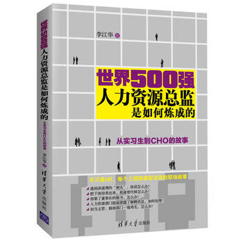世界500强人力资源总监是如何炼成的 从实习生到CHO的故事 【正版书】