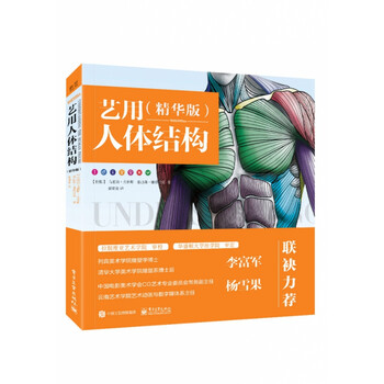 艺用人体结构(精华版)