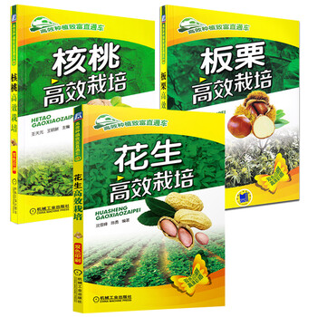 高效栽培板栗核桃花生3册 农业科学核桃栽培与病虫害防治技术 核桃苗培育园地管理农业种植系列读物种花生
