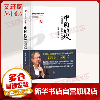 中国的坎 如何跨越中等收入陷阱 2016年中国好书