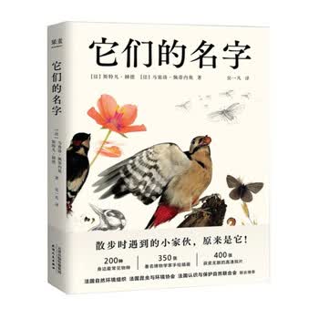 它们的名字