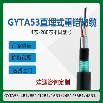 松套层绞式聚乙烯护套钢带铠装聚乙烯外护套通信用室外光缆 GYTZA53-4B1/m【图片 价格 品牌 报价】-京东