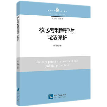 正版 2021新 核心专利管理与司法保护 罗立国 厦门大学知识产权研究丛书 新能源汽车产业产业专利