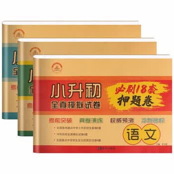 小升初模拟试卷刷题18套押题卷 语文/数学/英语 语文+数学+英语共3本