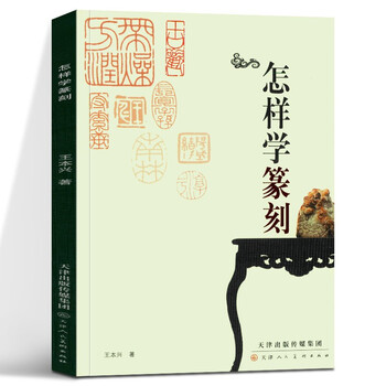 怎样学篆刻 王本兴 篆刻入门教程 印章制作基础学习入门教材 篆刻字典工具书 介绍刻刀印石印泥毛笔印