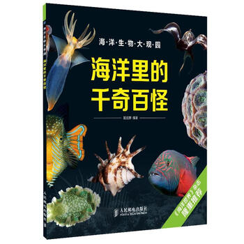海洋里的千奇百怪 姬云婷【正版书】