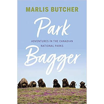 Park Bagger