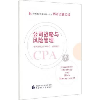 公司战略与风险管理 图书