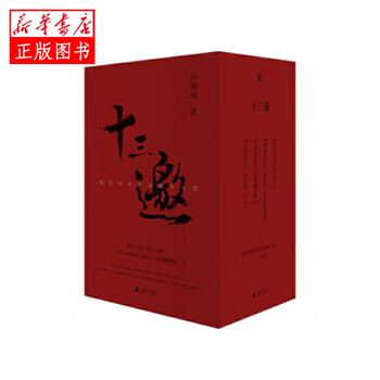 十三邀（全四册）：我们时代的头脑与心灵 知远历时4年对话52位杰出人物  广西师范大学出版社 新华书