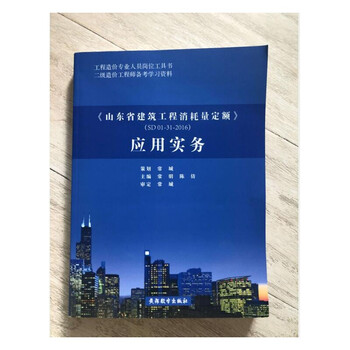 山东省建筑工程消耗量定额应用实务（SD 01-31-2016) 1g15k