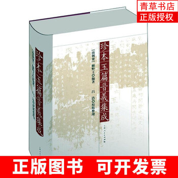 珍本玉篇音义集成 字典词典/工具书 (南朝梁)顾野王编著 上海人民出版社 9787208161481