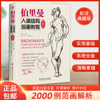 典藏版 伯里曼人体结构绘画教程 人物速写入门基础画册临摹书透视技法动态初自学头像五官美术绘画艺术手绘