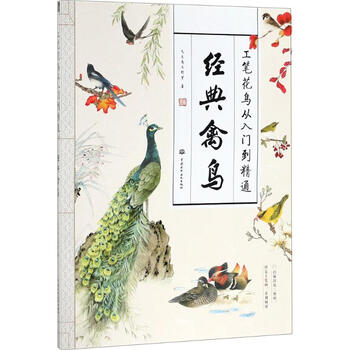 工笔花鸟从入门到精通