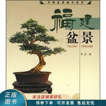 福建盆景 邵忠