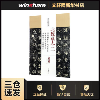 北魏墓志(2)司马昞墓志 元遥墓志 元珽妻穆玉容墓志 李璧墓志 元倪墓志